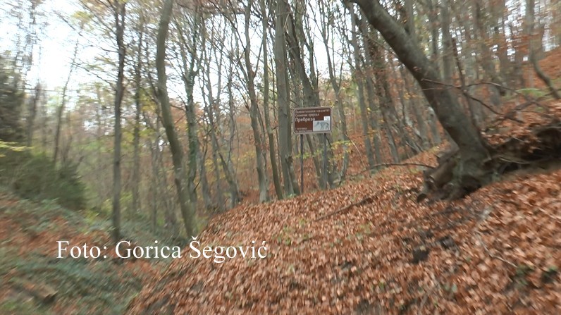Kako je Rade Rakonjac otkrio Gluvi Potok u Prebrezi kraj Blaca –Video ...